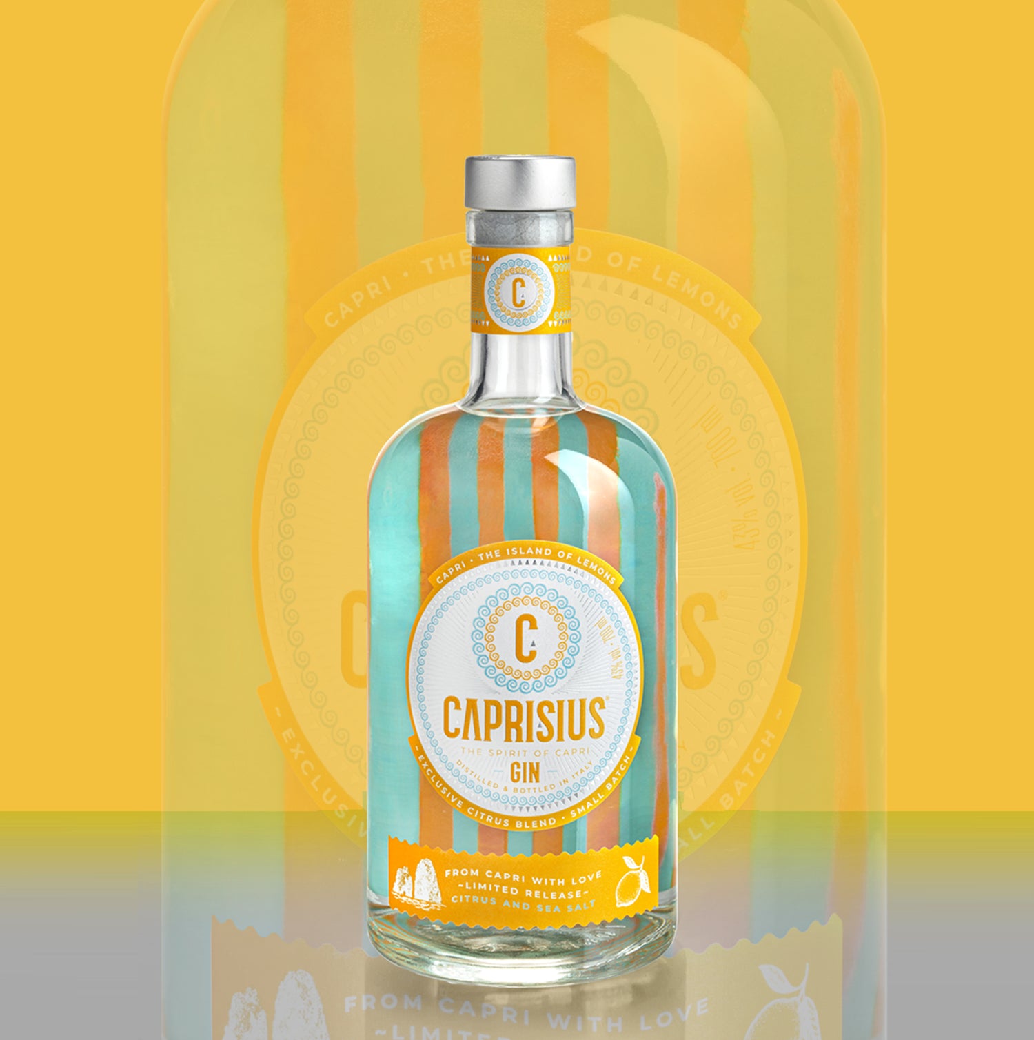 I nostri Gin | Caprisius